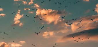 Land Rover | Official Land Rover Merchandise Lifestyle Collection ...