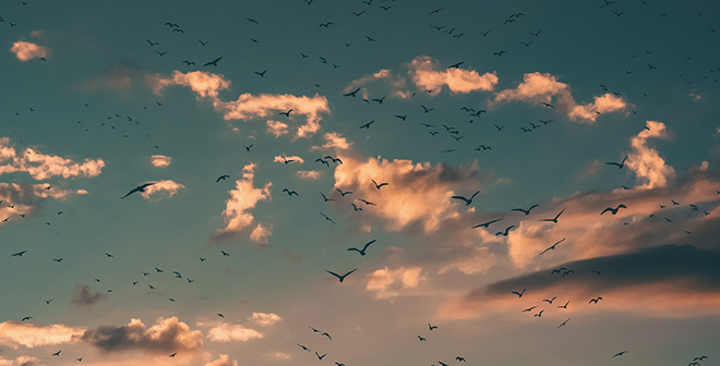 Land Rover | Official Land Rover Merchandise Lifestyle Collection ...